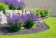Best Tips On Mulching For A Better Garden - Landscaping Services SG