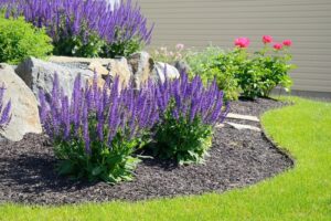 Best Tips On Mulching For A Better Garden - Landscaping Services SG